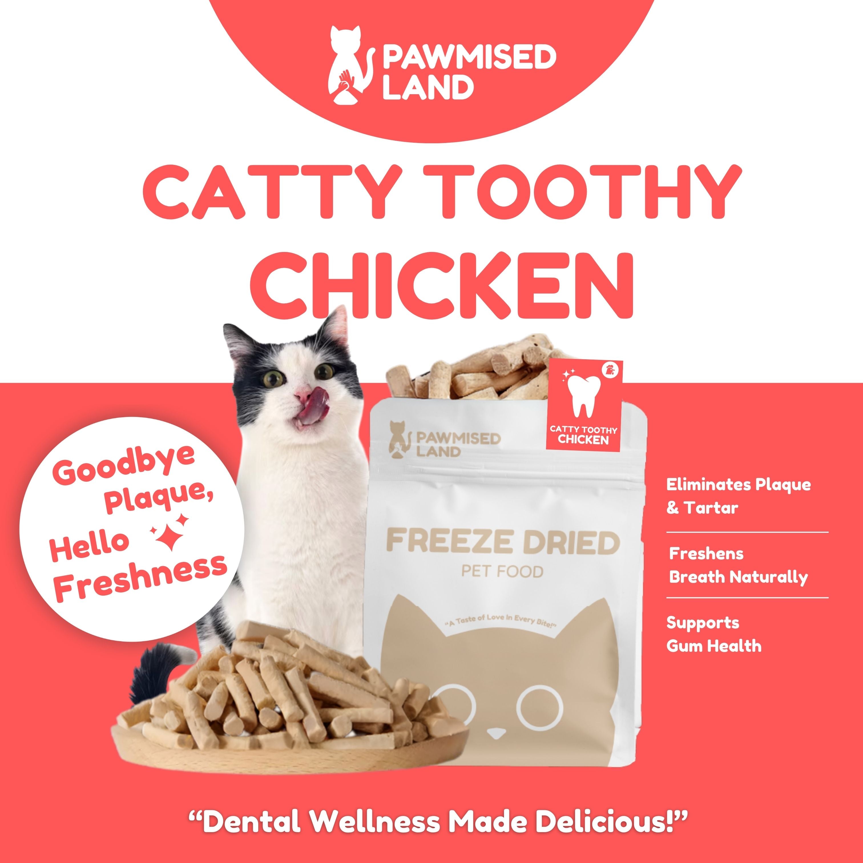 Catty Toothy - Dental Freeze Dried – PawmisedLand